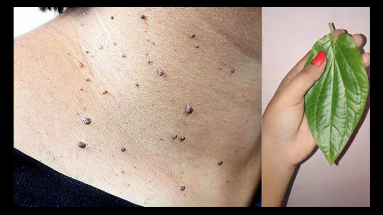 அட இவ்வளவு நாள்இது தெரியுமா போச்சு! இந்த மாதிரி செய்தால் வெறும் ஒரு ...